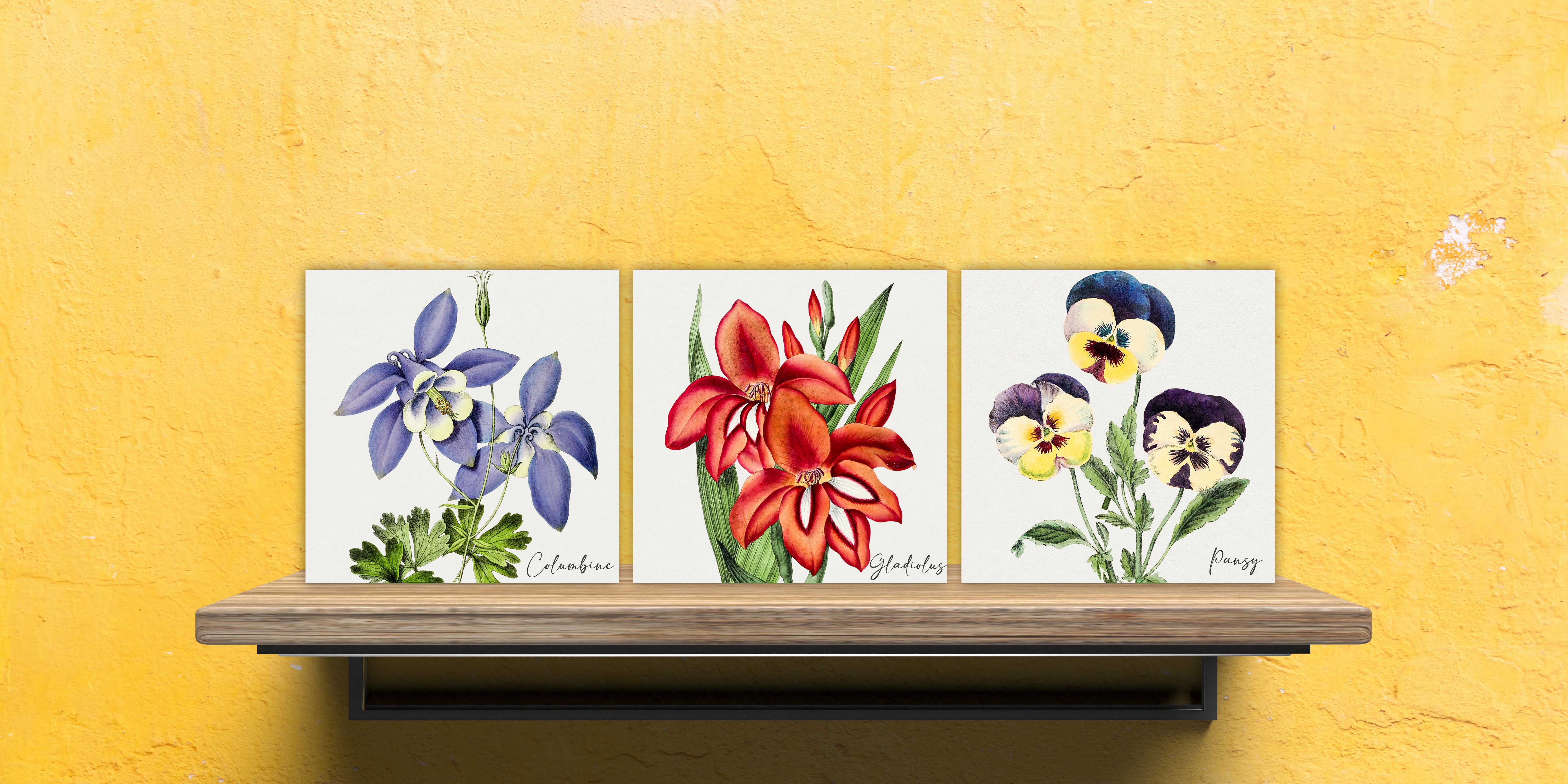 Tilesquare Vintage Botanica Ceramic tiles